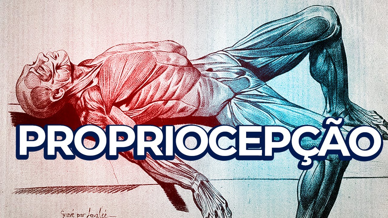 Sistema Proprioceptivo: o Sentido Esquecido.